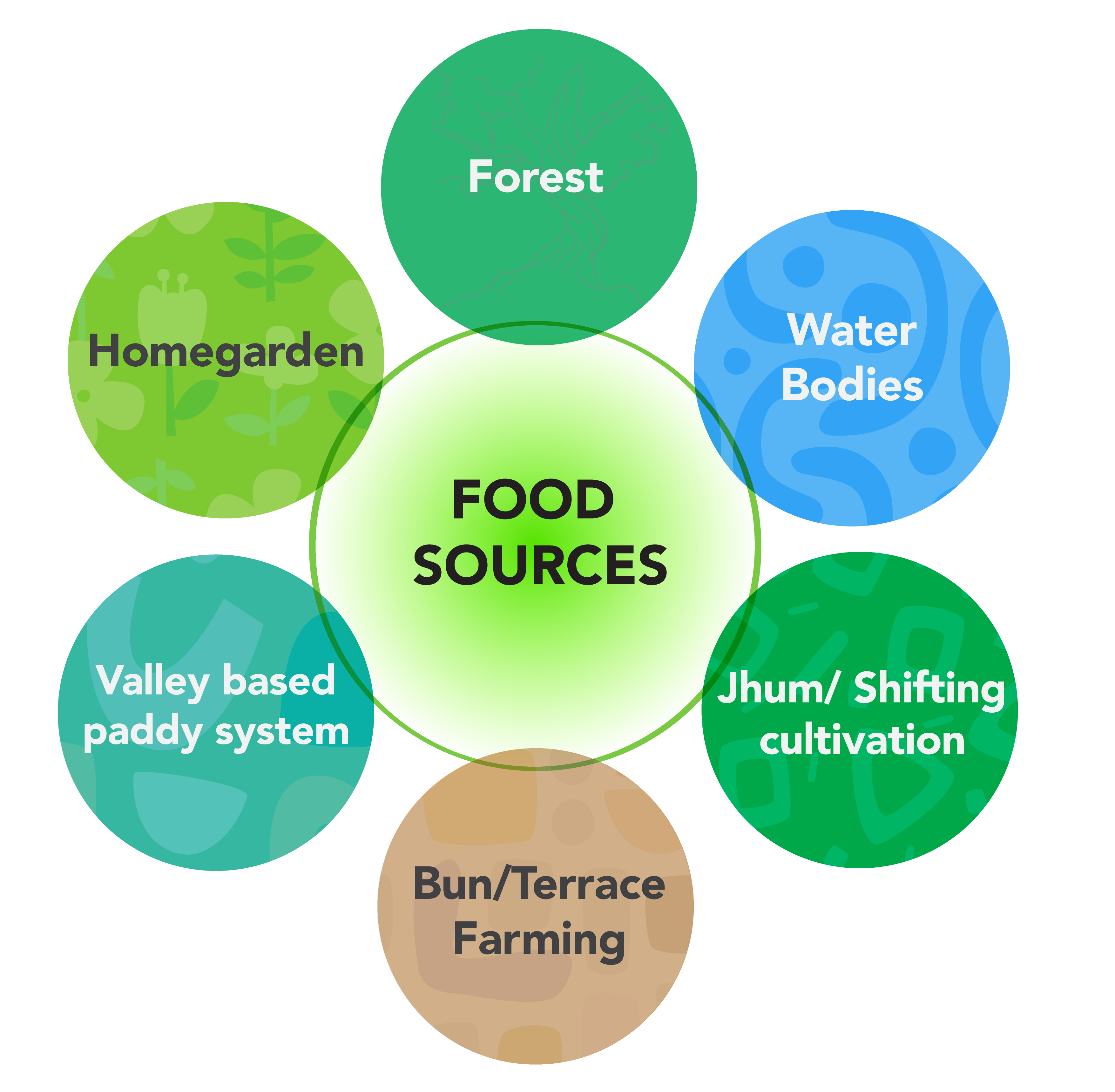 Climate change and resilience of Indigenous food systems: Lessons from ...