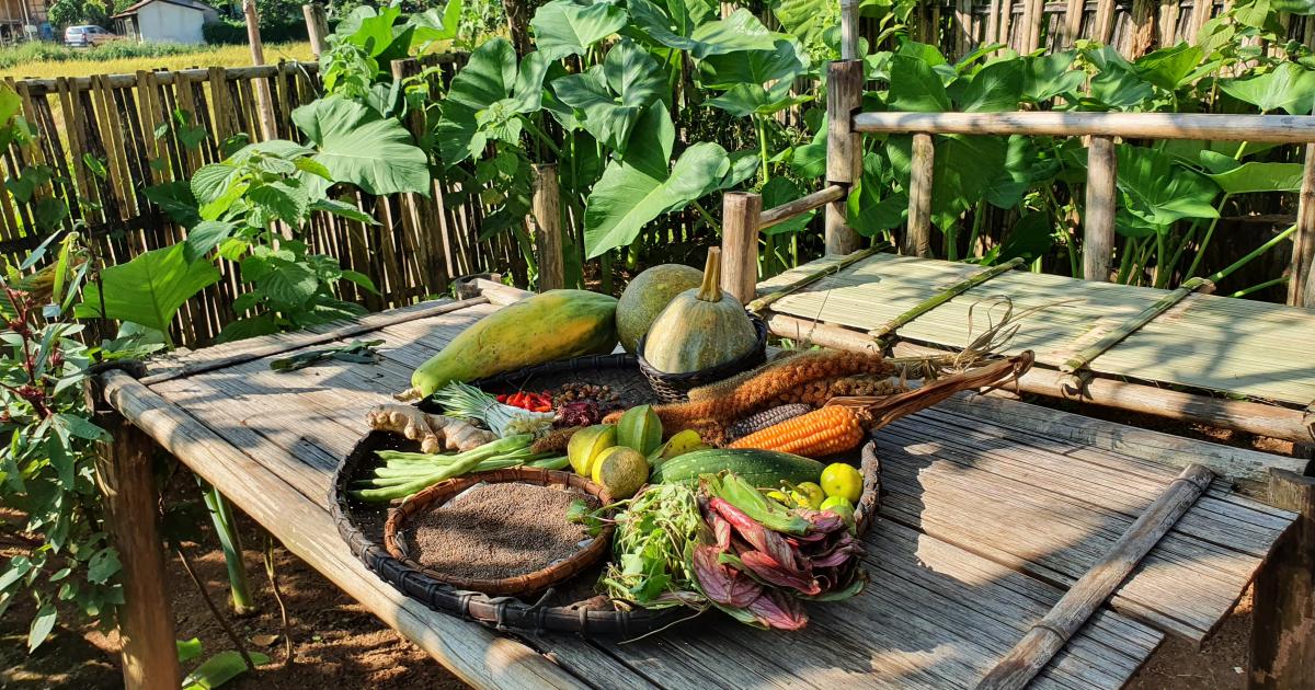 Climate change and resilience of Indigenous food systems: Lessons from ...